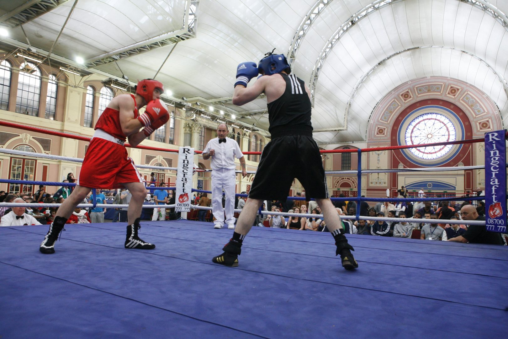 Haringey Box Cup