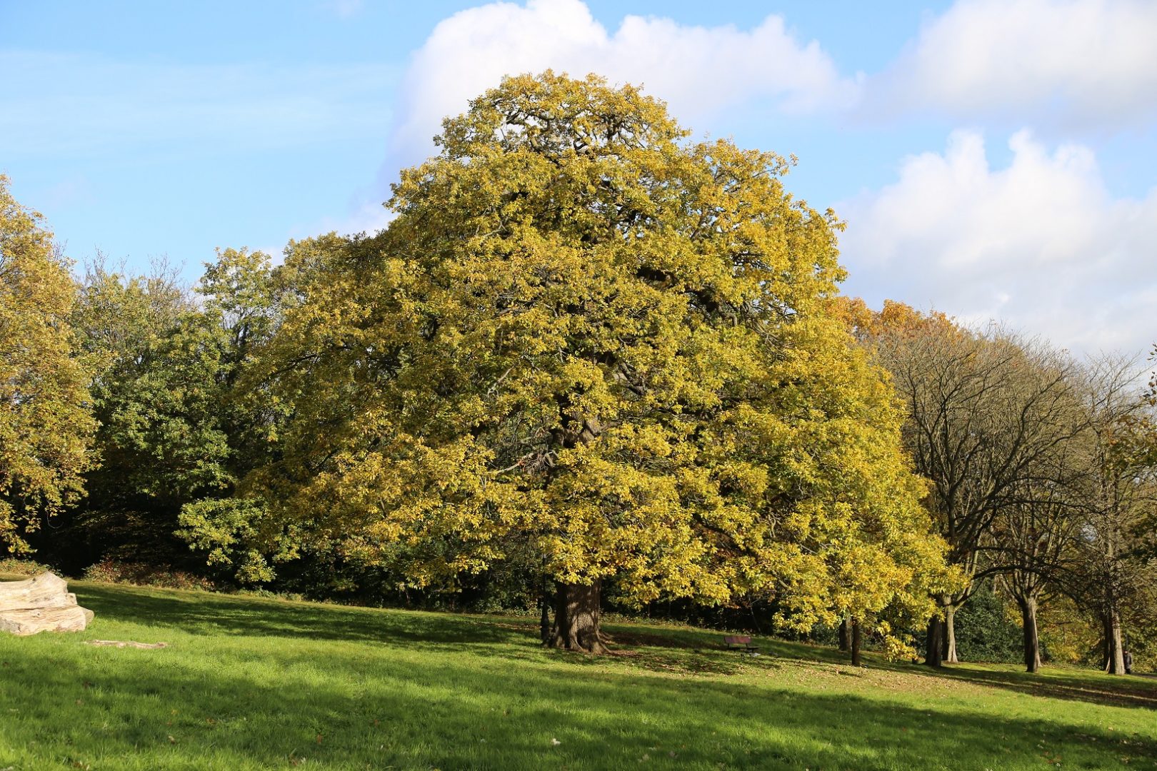 Explore The Park at Alexandra Palace