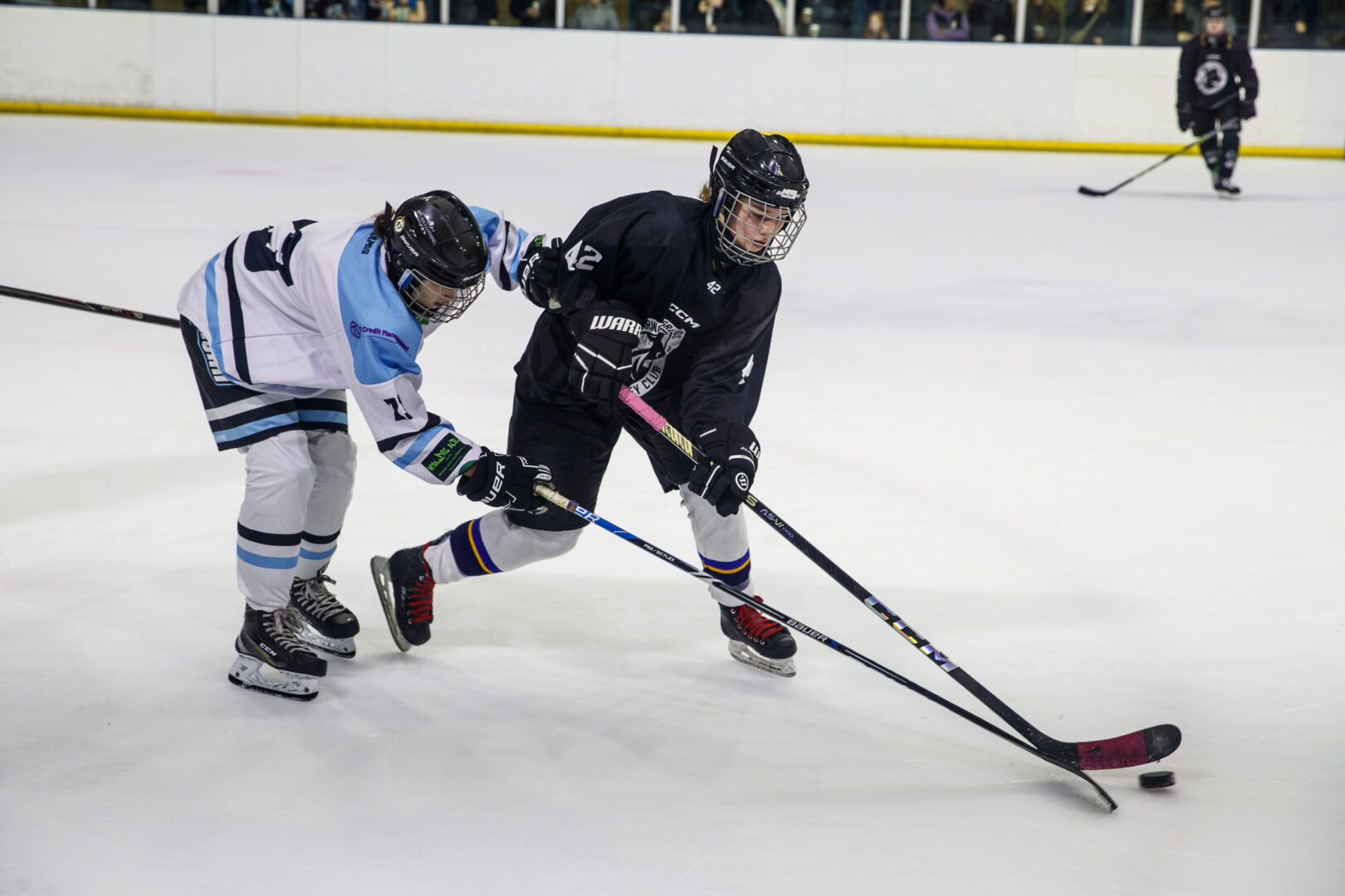 Haringey Huskies Ice Hockey at Alexandra Palace