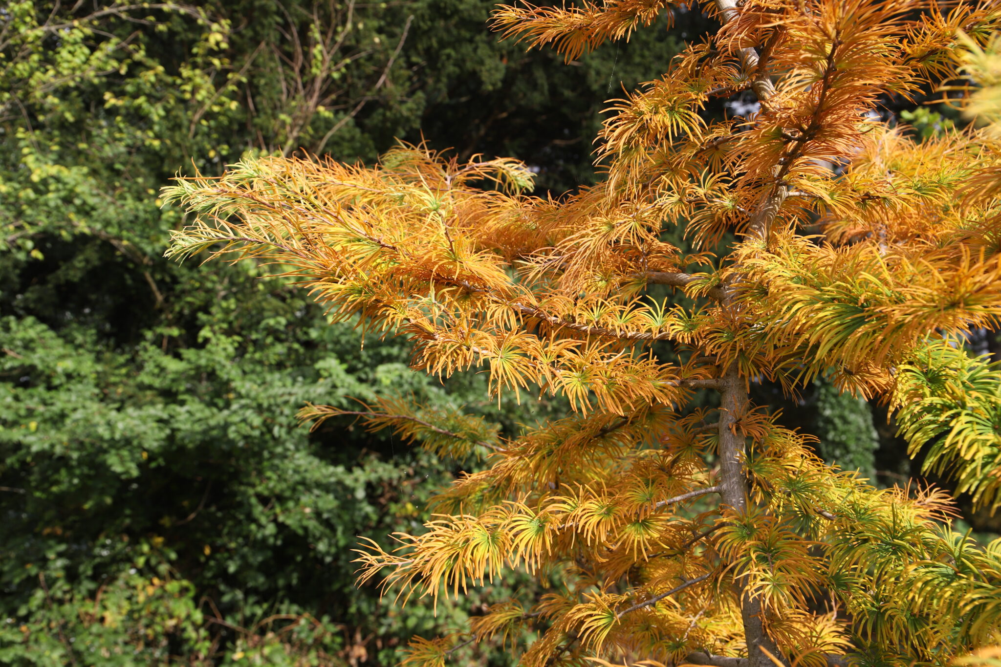 Explore The Park at Alexandra Palace