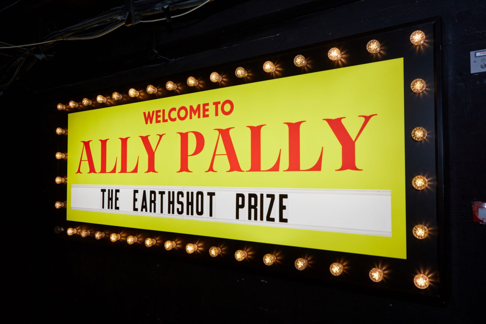 37 random facts about the 150 years of Ally Pally