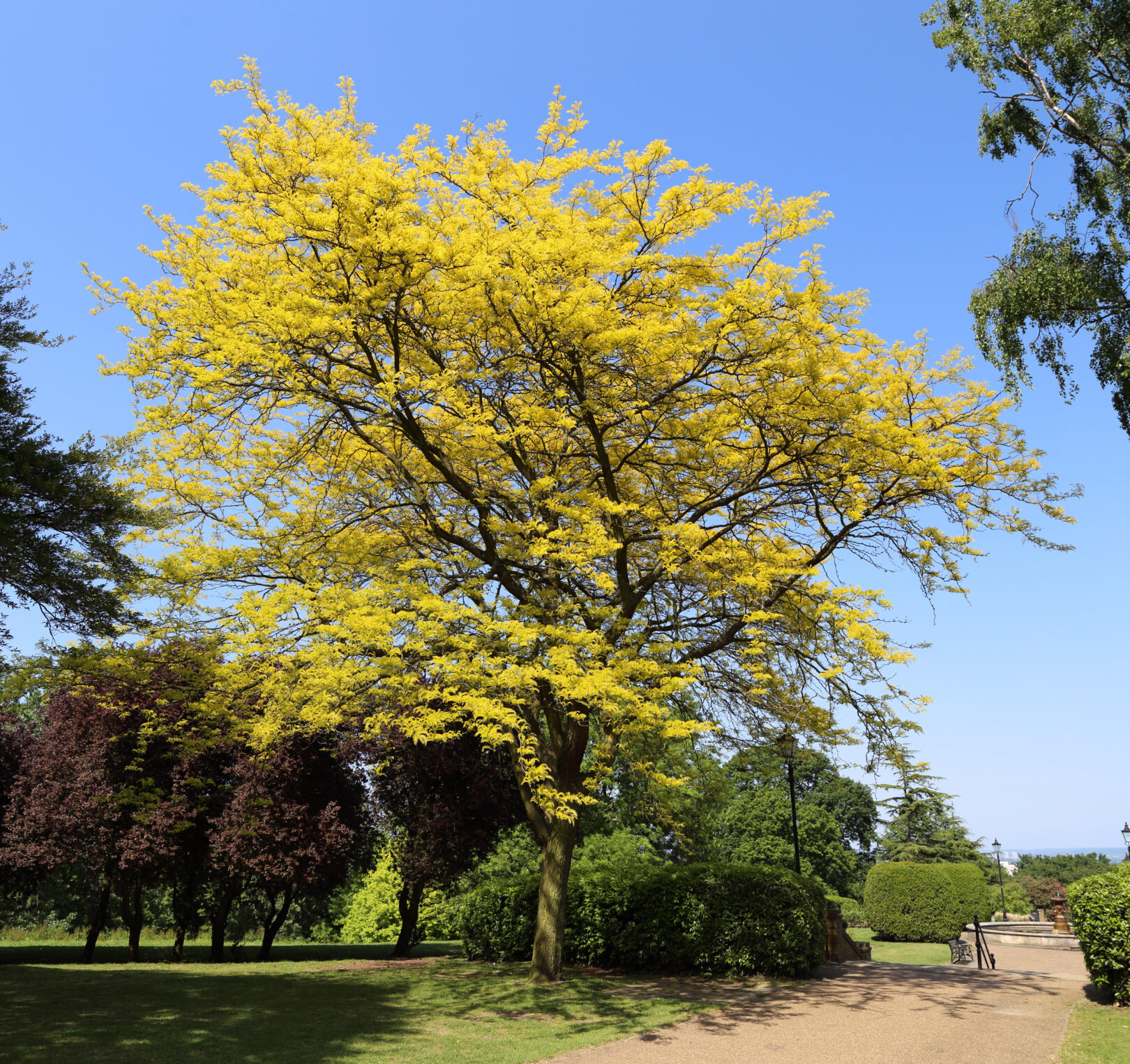 Your Ally Pally Blog