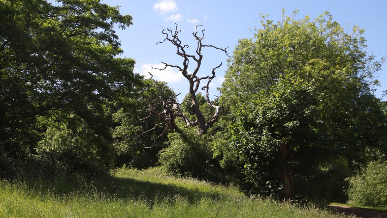 The World Darts Championship is staying at Ally Pally until at least 2031